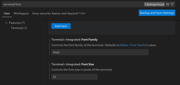 VS Code Integrated Terminal