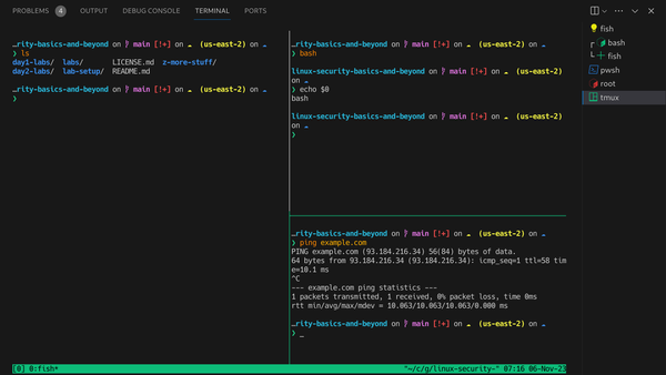 VS Code Integrated Terminal